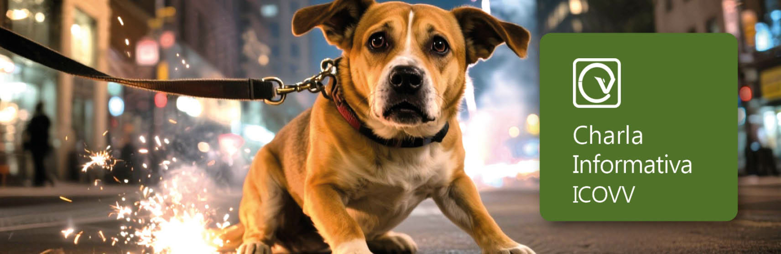 CHARLA INFORMATIVA: Prevención de fobia a ruidos en animales de ...